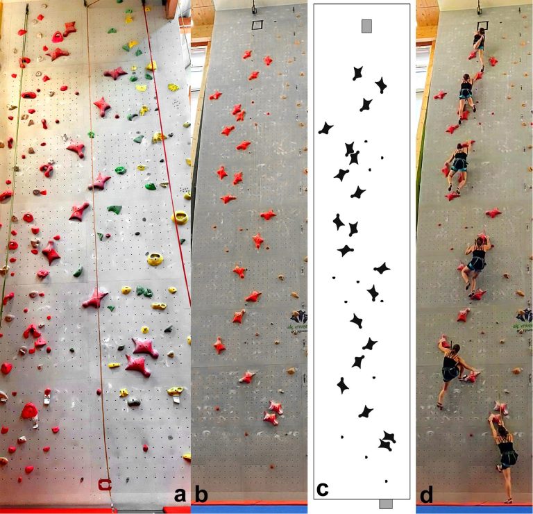 Indoor Climbing Walls in India: A Complete Guide 2025